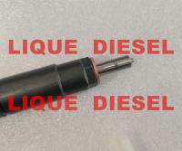 China Common Rail Fuel Injector 0445116041 35062005F Genuine New 0 445 116 041 for sale