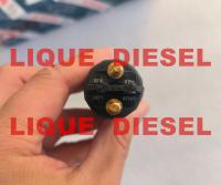 China Common Rail Injector 0445120196 0 445 120 196 Genuine New Diesel Fuel Injector for sale