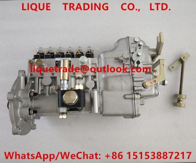 China High Pressure Fuel Injection Pump Assembly BH6PA110R 6R4ZLD310100 110mm for sale
