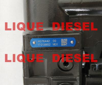China Cummins QSC8.3 Diesel Fuel Pump 4076442 4076442RX 8.3L Engine for sale