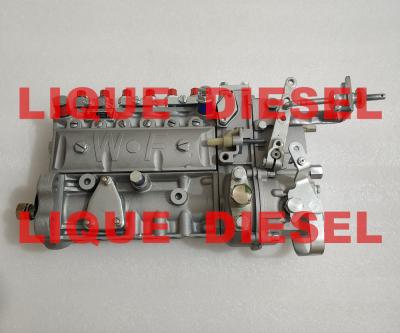 China High Pressure Fuel Injection Pump Assembly 3976801 6A125A WEIFU 12V for sale