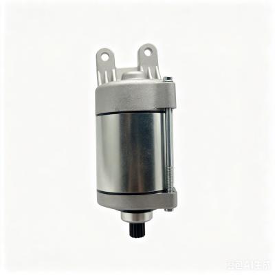 China TGB Blade 250 Target 325 ATV Starter Motor Durable Electric Start Engine Motor Accessories for sale