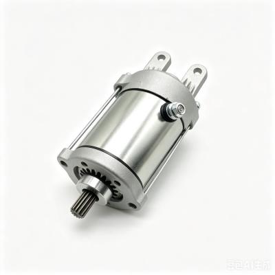 China 250cc Liquid Cooled Scooter Engine | VTS250 GTS250 DINK250 Replacement Motor for sale