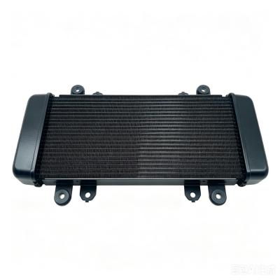 China Aluminum Radiator for Kawasaki Ninja250 Ninja300 2013-2017 EX250 EX300 for sale
