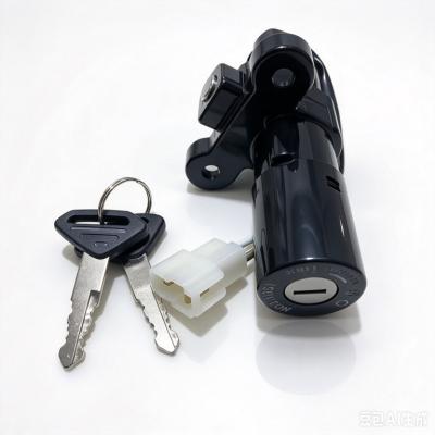 China 2 Wire Ignition Lock Switch, OEM Replacement Steering Lock for Bajaj Pulsar 200 Motorcycle for sale