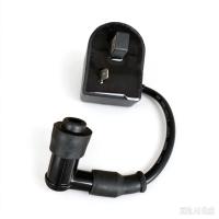 China AX100 Motorcycle Ignition Coil, High Voltage Ignition Coil for Suzuki AX100 2-Stroke Motorcycle for sale