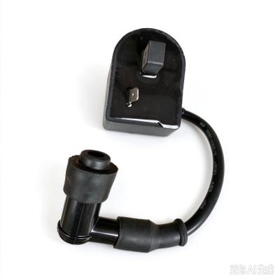 China AX100 Motorcycle Ignition Coil, High Voltage Ignition Coil for Suzuki AX100 2-Stroke Motorcycle for sale