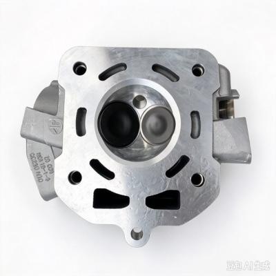 China ZS250 Motorcycle Cylinder Head Assembly, Liquid Cooled 250cc Complete Cylinder Head Assy for ZS250 Engine for sale