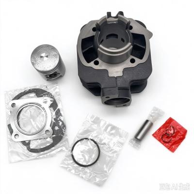 China Peugeot PTLDX Ludix 50 Cylinder Kit, 50cc 2-Stroke Scooter Cylinder Piston Assembly Replacement Parts for sale