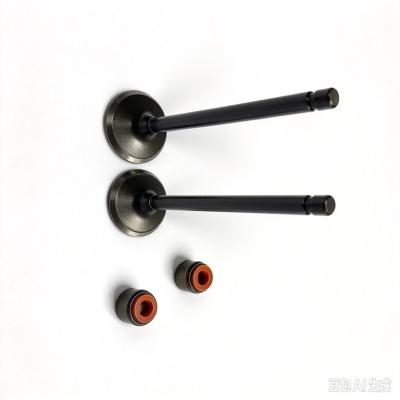 China Bajaj Boxer125 Intake Exhaust Valves & Valve Oil Seals Kit, Motorcycle Engine Valve and Valve Seal Replacement Parts for sale