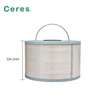 China 25211119A-C Ctp Kodak Air Filter 224.1mm Height for sale