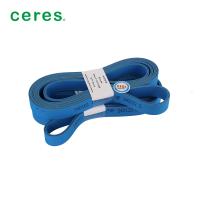 China Blue Nylon Sandwich Rubber Flat Belt/NBR For BOBST/HOSON/GAOTIAN Folder Gluer for sale
