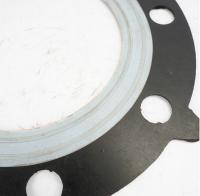 China EPDM Rubber Flange Gasket Alkali Resistance for Pharmaceutical Factory for sale