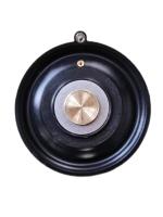 China 2 Way Pneumatic Solenoid Valve Diaphragm With High Temperature Performance for sale