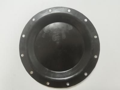 China -20°C To 80°C Temperature Range Solenoid Valve Diaphragm For Precipitator Equipment Low Noise Usage Scene for sale
