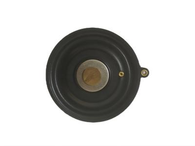 China 0-20 L/min Flow Solenoid Valve Diaphragm High Temperature Resistant For Industrial Automation Solutions for sale