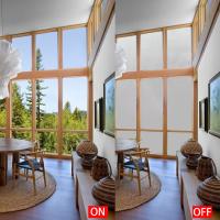 China PDLC Magic Switchable Smart Glass Film Self Adhesive 10mm for sale