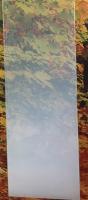 China Durable Fading Glass 5+5mm / 6+6mm Thickness With Beautiful Appearance for sale