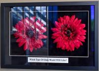 China 1.1mm High Transmittance AR Tempered Glass Impact Resistance Maximize Visibility for sale