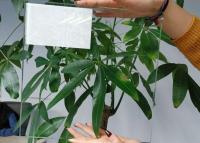 China Ecological  4mm Double Coating AR Glass For Solar Energy Control for sale