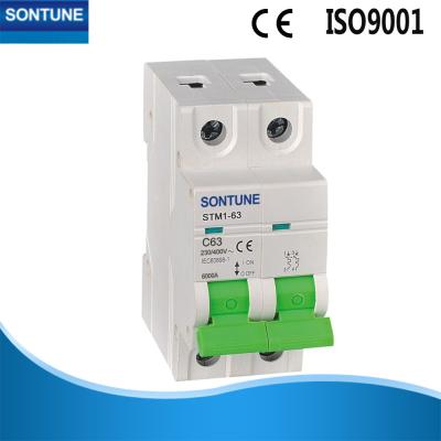 China Miniature STM1-63 2P MCB Circuit Breaker 6kA Double Wiring CE SEMKO for sale