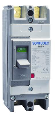 China CE 2P 100A Mccb Molded Case Circuit Breaker for sale