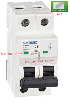 China 63A 2 Pole Din Rail 6kA MCB Circuit Breaker with Busbar for Industrial Use for sale