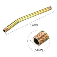 China Iron 10mm Grease Gun Rigid Extension 1/8mm Thread 150mm Flexible Hose for sale