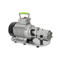 China Portable Gear Fuel Oil Pump 750W 2800r / Min Outlet Size 25mm for sale