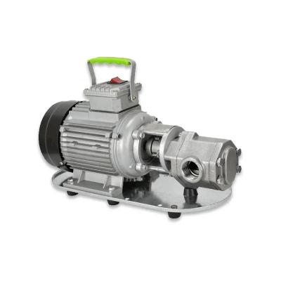 China Portable Gear Fuel Oil Pump 750W 2800r / Min Outlet Size 25mm for sale