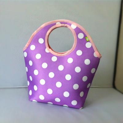 China Hot-selling Fancy nice Picnic bag Lunch bag with handles for sale