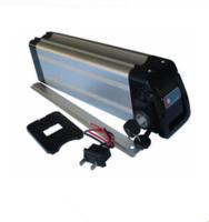 China Silver Fish E Bike 24v 12ah Lithium Ion Battery Pack lighterweight With BMS for sale