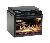 China Lightweight Rechargeable Bms Lifepo4 Battery 12V 100ah For Boat Motorhome Ups for sale