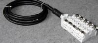 China PC Alloy Materials 10 Pair STUB Module With Gel Filled 3 Meter / 6 Meter Cable for sale