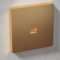 China ANSHI 86 Type 2 Ports Face Plate With Gold Spraying & With Shutter for sale