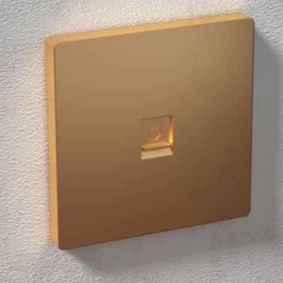 China ANSHI 86 Type 2 Ports Face Plate With Gold Spraying & With Shutter for sale