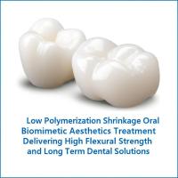 China Low Polymerization Shrinkage Oral Biomimetic Aesthetics Treatment Delivering High Flexural Strength and Long Term Dental Solutions for sale