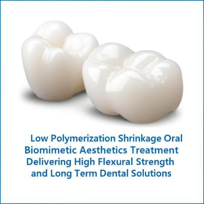 China Low Polymerization Shrinkage Oral Biomimetic Aesthetics Treatment Delivering High Flexural Strength and Long Term Dental Solutions for sale