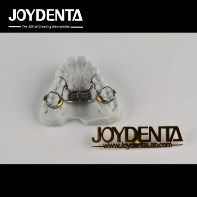 China Adjustable Orthodontic Dental Retainers To Straighten Teeth Oral Health Comfortable for sale
