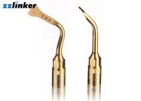 China Gold Plated Dental Ultrasonic Scaler Tips Compatible EMS Satelec G1-G4 Models for sale
