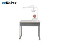 China Medical Simulation Unit Phantom Head Dentist Practicing Dental School Support for sale