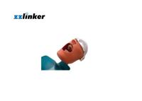 China Dental Study Model Dental Manikin Phantom Head withTorso for Dental practice for sale