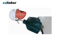 China Dental Study Model Dental Manikin Phantom Head withTorso for Dental practice for sale