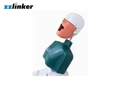 China Dental Simulator Unit Teaching System Phantom Head Model with Body for Students for sale