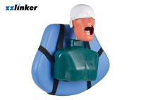 China Dental Simulator Dental Chair Unit Detnal Teaching Model Training Simulator Head with Belt for sale
