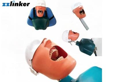 China Dental Simulator Dental Chair Unit Detnal Teaching Model Training Simulator Head with Belt for sale