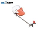 China Simple Dental Chair Unit Dental Surgery Practice Phantom Model Head With Clamp Type for sale
