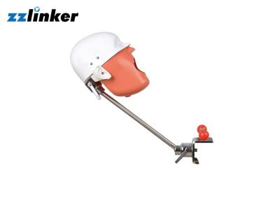 China Simple Dental Chair Unit Dental Surgery Practice Phantom Model Head With Clamp Type for sale