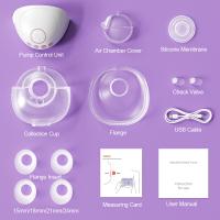 China Hands-free Electric Breast Pump with 12 Levels High Suction and Liquid Silicone Flange for Nursing for sale