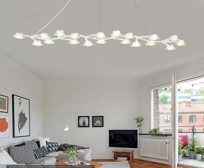 China Nordic Adjustable Line Stretch white Chandelier bedroom dining room LED Net Circle Chandelier(WH-MI-354) for sale